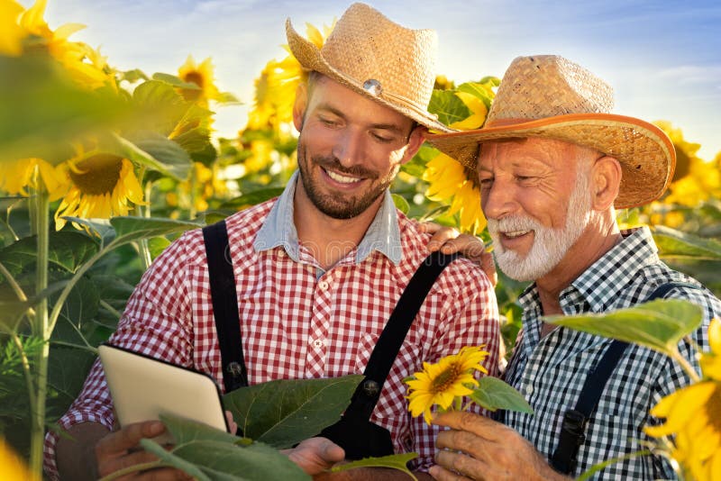 Farmers and technology stock image. Image of organic - 191159705