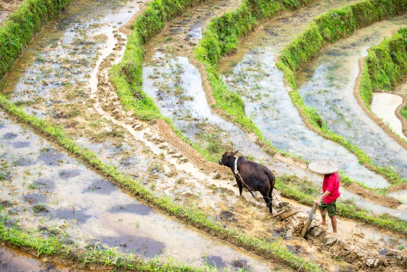 Of farmers stock image. Image of artificial, work, farmland - 32476873