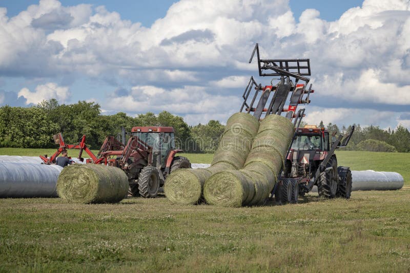 Farmers Unloading and Wrapping Hay. Stock Photo - Image of bagging ...