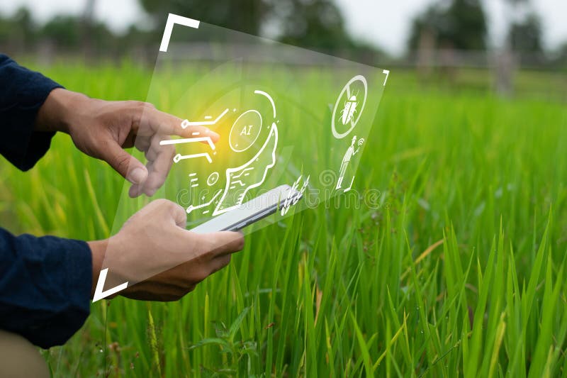 Farmers Use Artificial Intelligence Technology To Inspect and Analyze ...