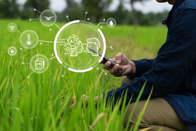 Farmers Use Artificial Intelligence Technology To Inspect the ...