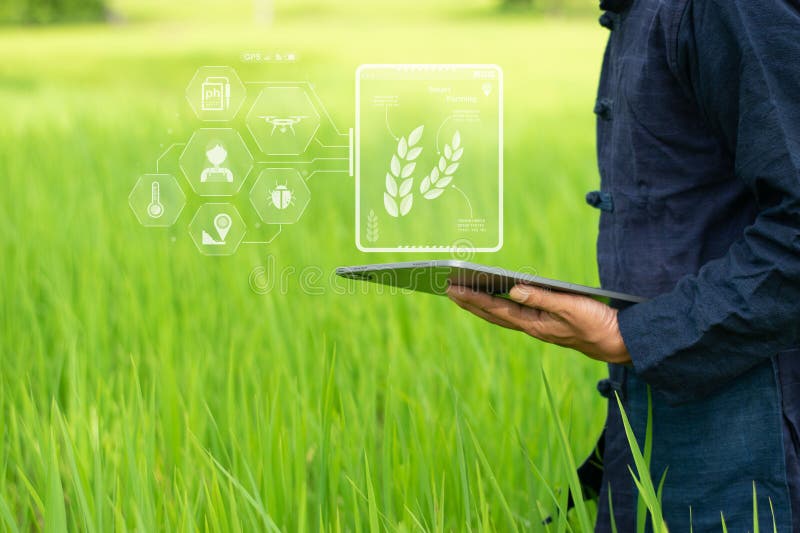 Farmers Use Tablet Computers To Connect To Wireless Feather Network ...