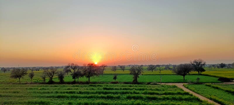 Farmerview Stock Photos - Free & Royalty-Free Stock Photos from Dreamstime