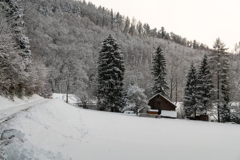Farmhouse Covered in Snow during Winter Stock Image - Image of covered ...