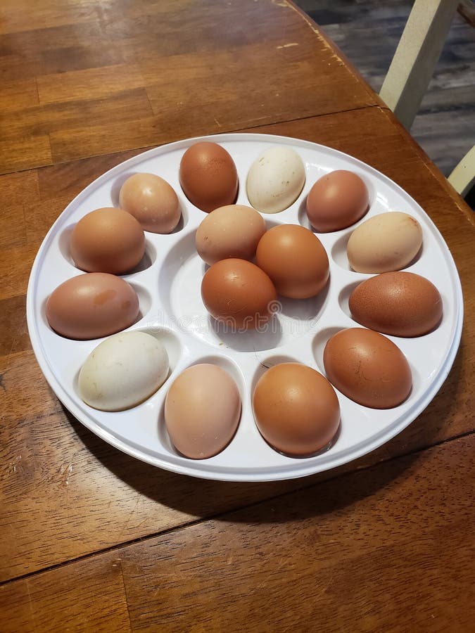 Farmhouse Farm Fresh Chicken Eggs Stock Photo - Image of farm, range ...