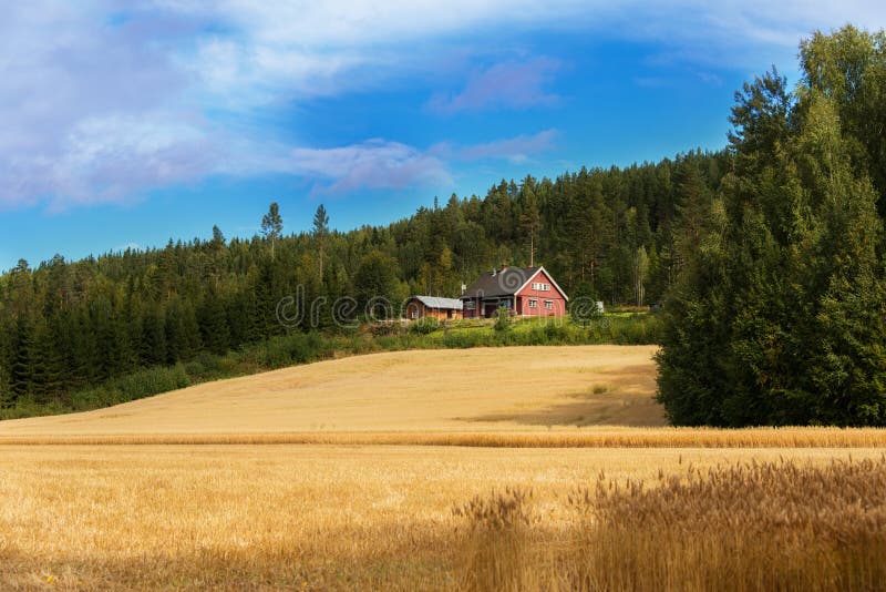 Farmhouse on field stock image. Image of countryside - 29376677