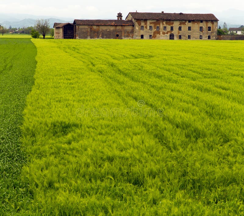 Farmhouse in the Green Field Stock Photo - Image of farm, nature: 30876062