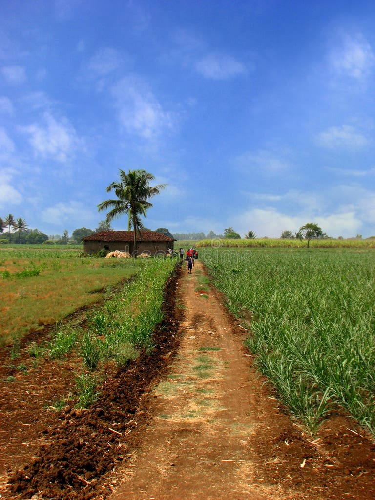 340 Old Farmhouse Backgrounds Stock Photos - Free & Royalty-Free Stock ...