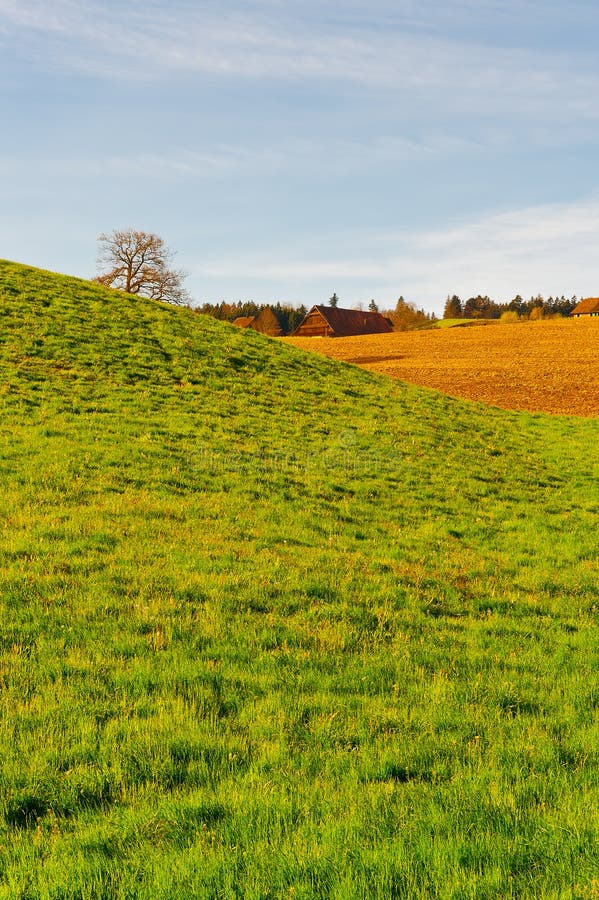 Farmhouse stock image. Image of alpine, pasture, countryside - 39942331