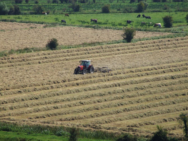 Farming stock photo. Image of summer, england, field, harvest - 3031770