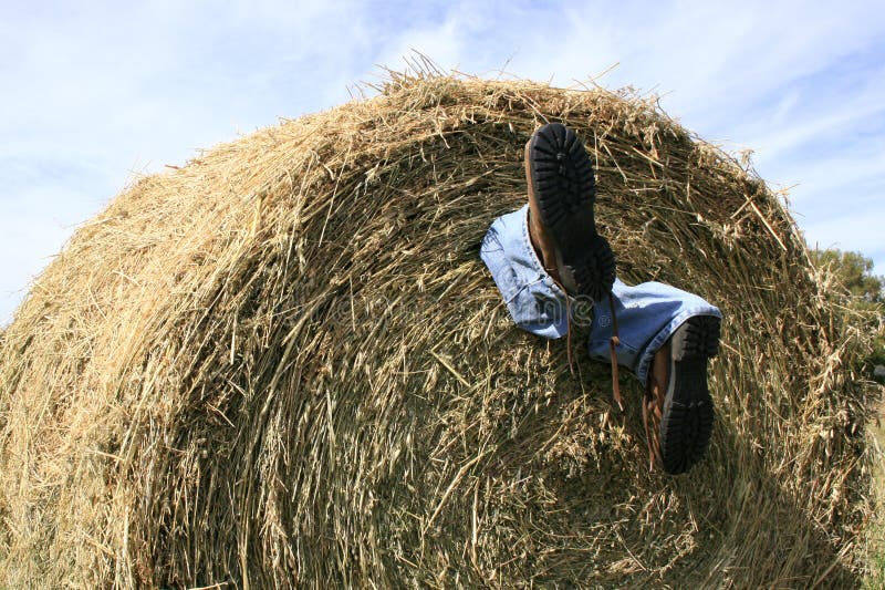 Farming accident stock image. Image of bale, danger, accident - 11185385