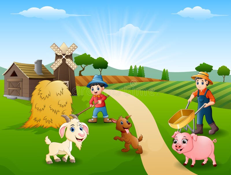 Farming Activities on Farms with Animals in Front of the Cage Stock ...
