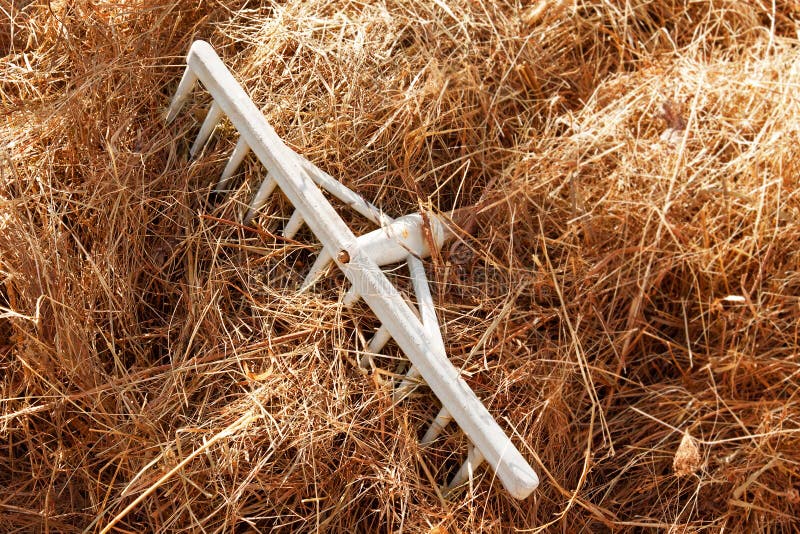 FARMING - Cleaning Farm Yard in Village Stock Image - Image of autumn ...