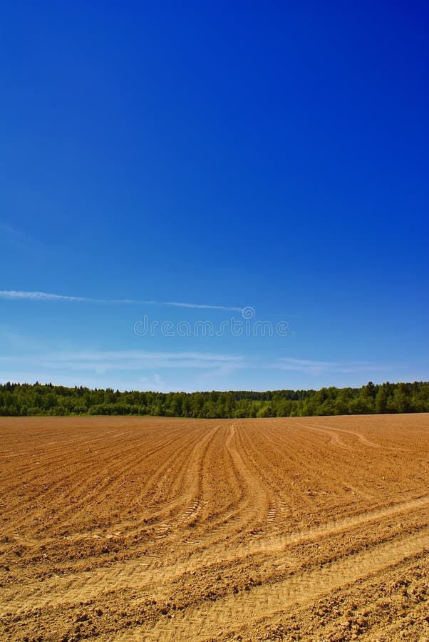 Farming field stock photo. Image of land, scenery, agriculture - 12572432