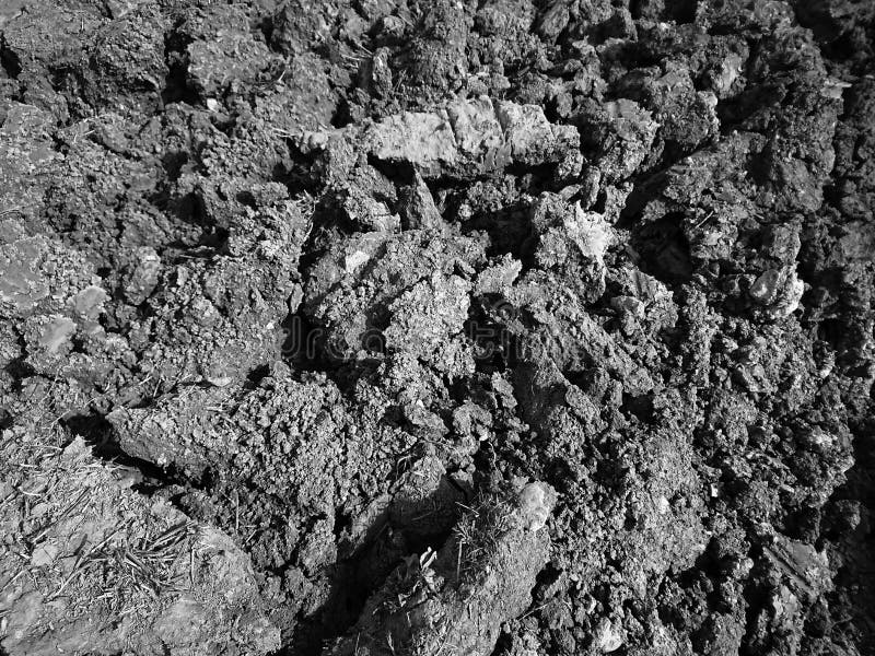 Farming Field Soil in Black & White Stock Photo - Image of farming ...