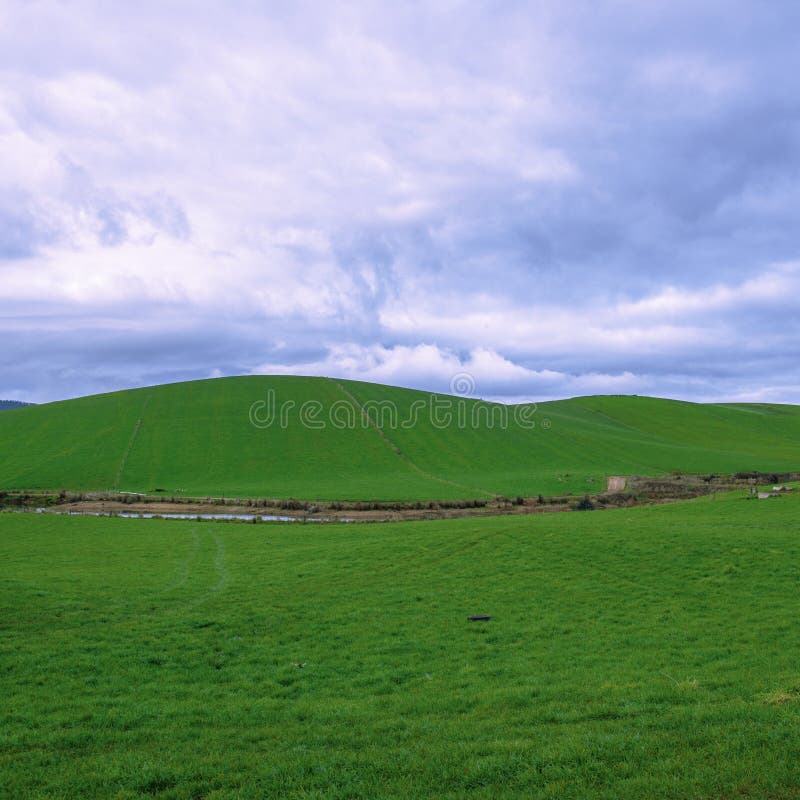 Farming Field in Tasmania, Australia Stock Photo - Image of farming ...