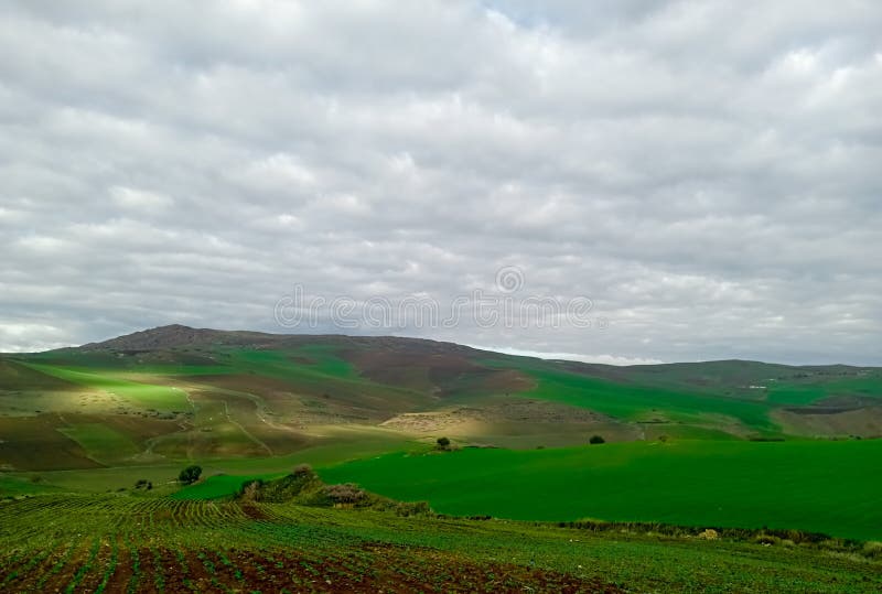 Farming Fields in the City of Constantine Algeria Stock Photo - Image ...
