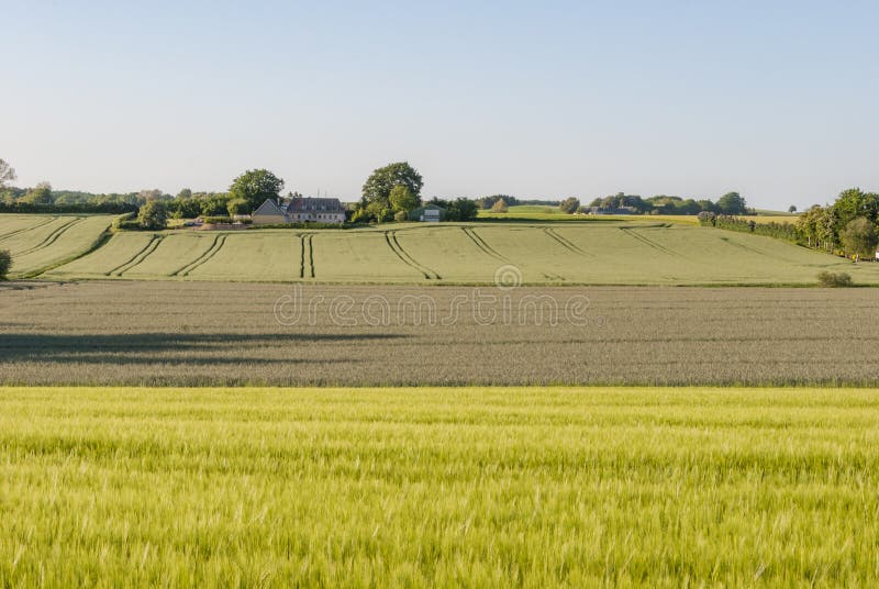 Farming Fields in Different Colors in Spring Stock Photo - Image of ...