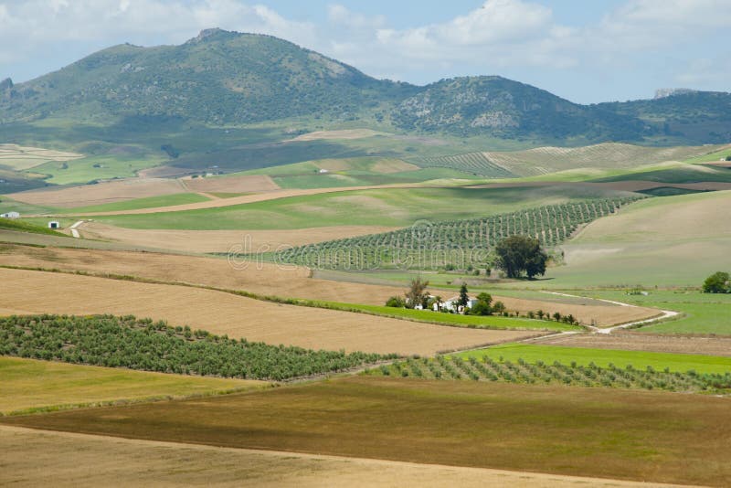 Farming Fields - Spain stock photo. Image of countryside - 92068436