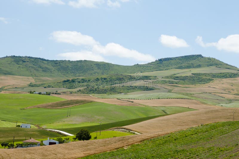 Farming Fields - Spain stock photo. Image of farming - 92083850