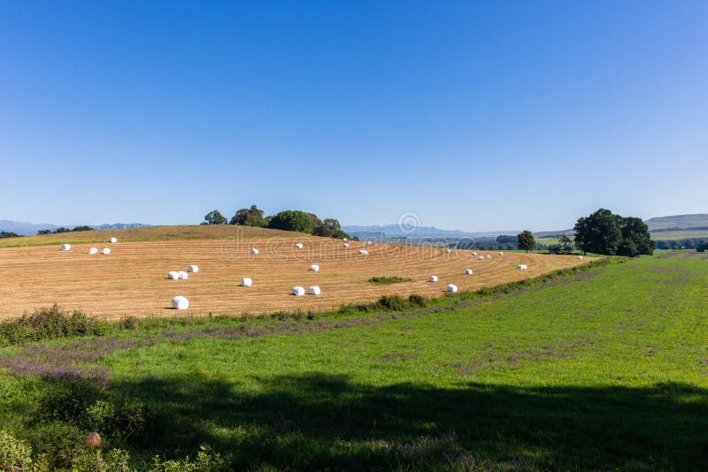 Farming Grass Bales Landscape Stock Image - Image of food, drakensberg ...