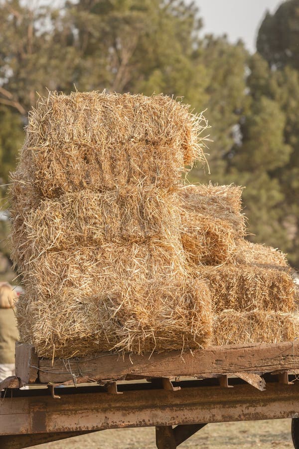 Grass Bales Blue Farm Landscape Stock Image - Image of grass, feed ...