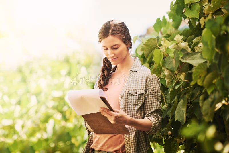 Farming Involves More Admin Than Youd Think. a Happy Young Farmer ...