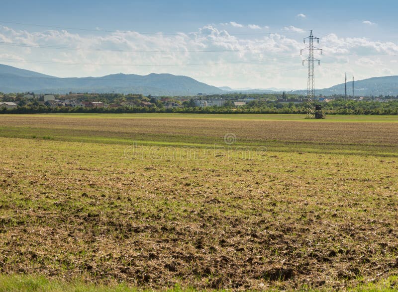 Farming land, crop field stock photo. Image of background - 98046488
