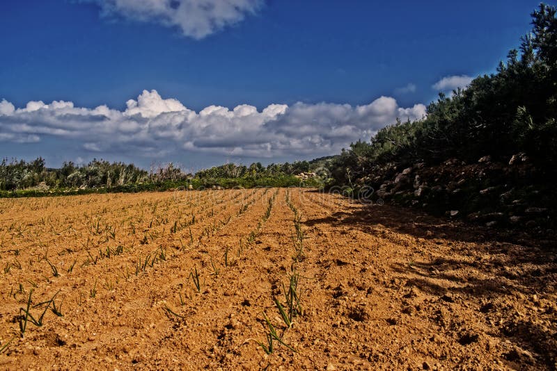 Agricultural land - Malta stock photo. Image of mountain - 23841244