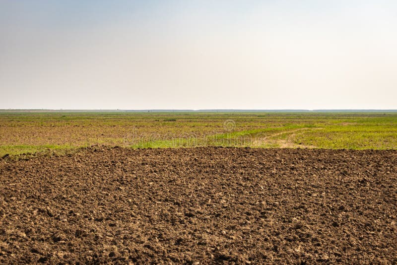 Farming Land in Village with Crop Stock Photo - Image of details ...