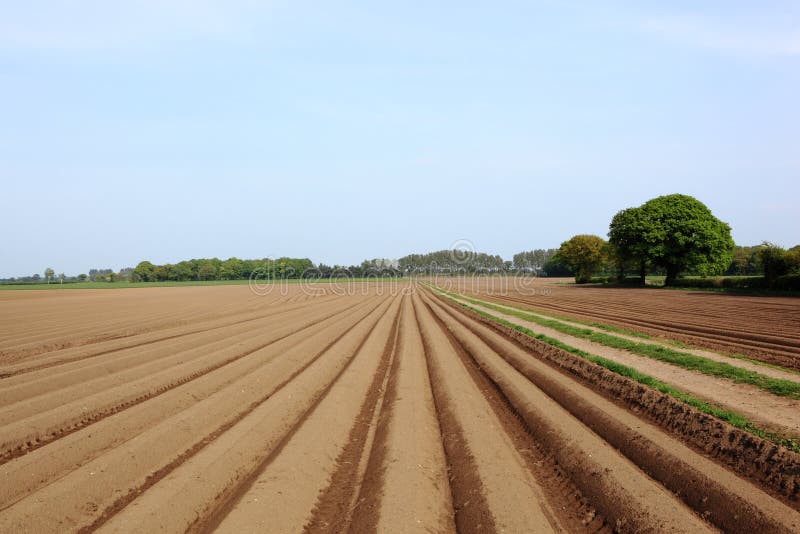 Farming Landscape in Springtime with Farm Track and Beautiful Trees and ...