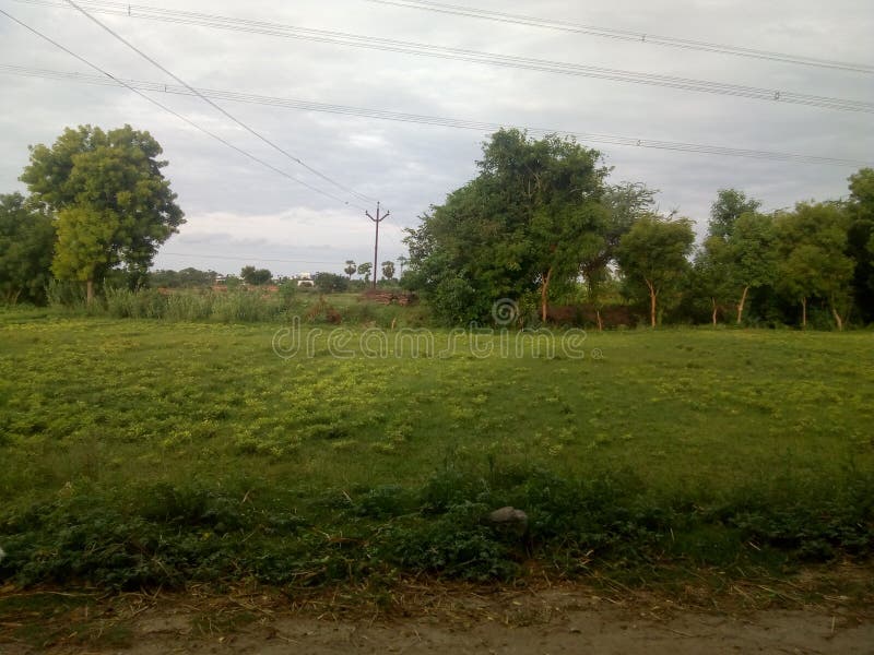 Farming place outside town stock photo. Image of nature - 192939624