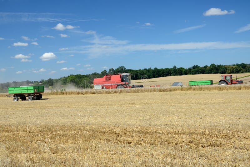 Farming in Poland, harvest editorial stock image. Image of 21st - 214415269