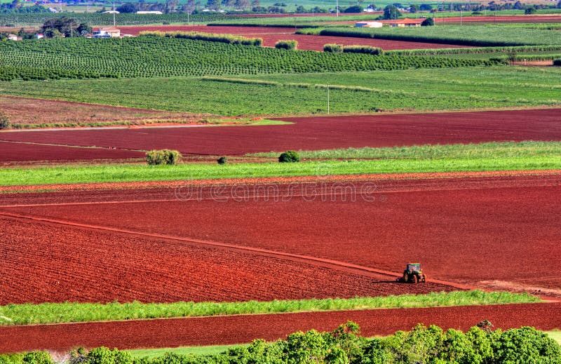 Mackay Airport editorial stock photo. Image of tropical - 22222798