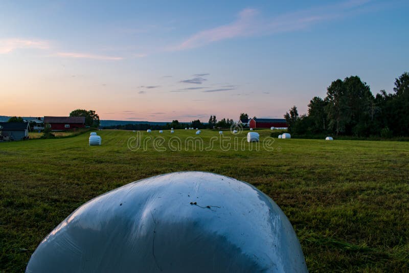 Farming Scene with Hay Ball Covered in Plastic on a Field Stock Photo ...