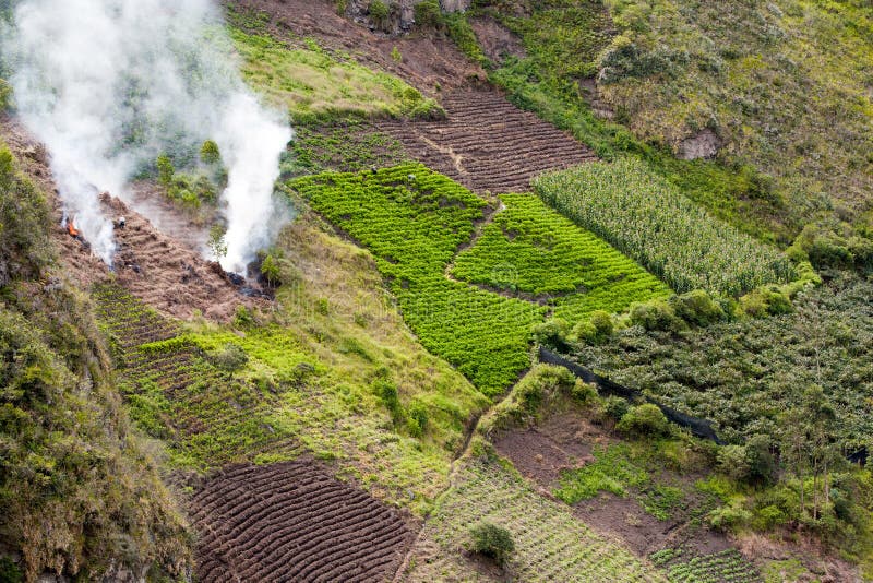 Farming Scene Horizontal stock image. Image of herbicide - 61377657