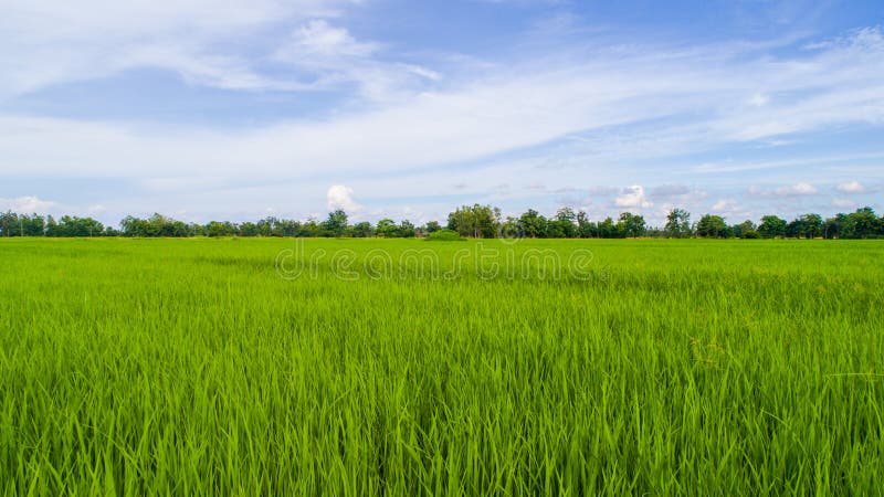 Farming season stock image. Image of meadow, farm, natural - 95380069