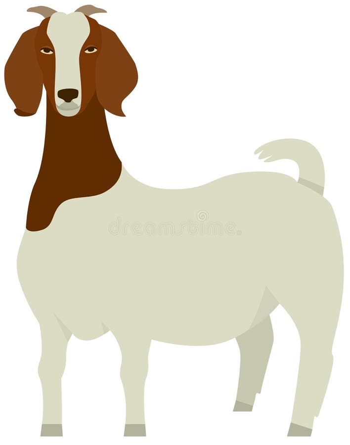 Boer Goat Stock Illustrations – 278 Boer Goat Stock Illustrations ...