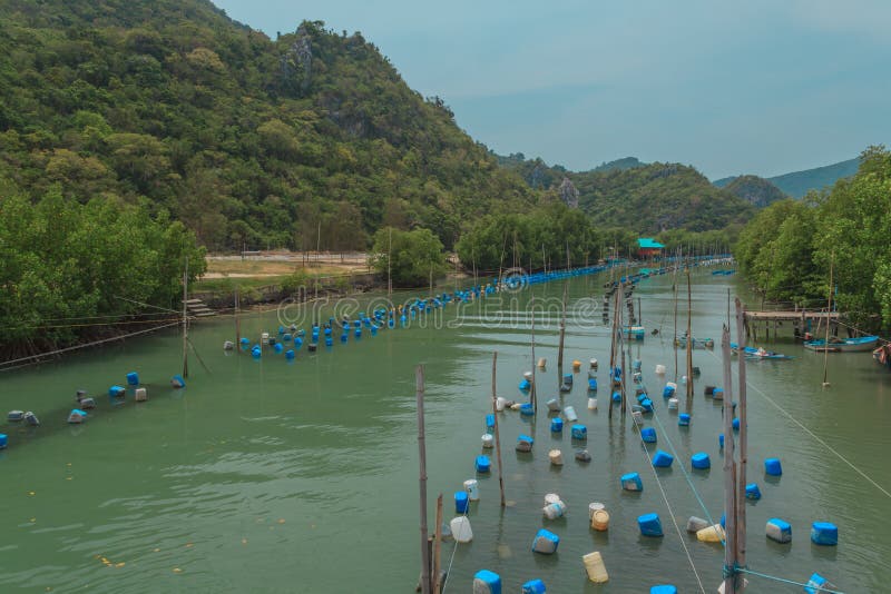 Farming shellfish stock photo. Image of shellfish, commercial - 35964352