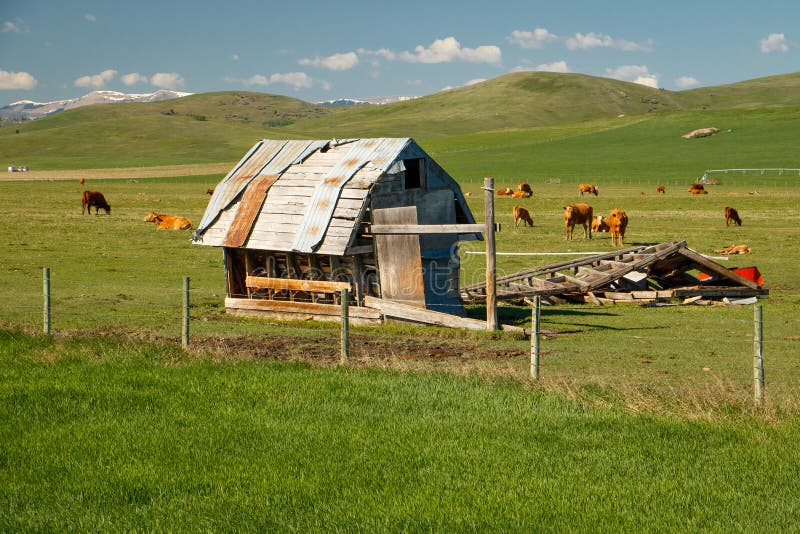 Farming in Summer Time in Alberta in Canada Stock Image - Image of ...