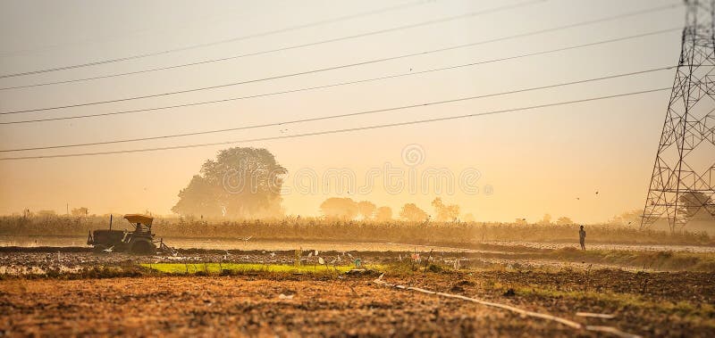 Farming while sunrising stock photo. Image of farming - 208123024