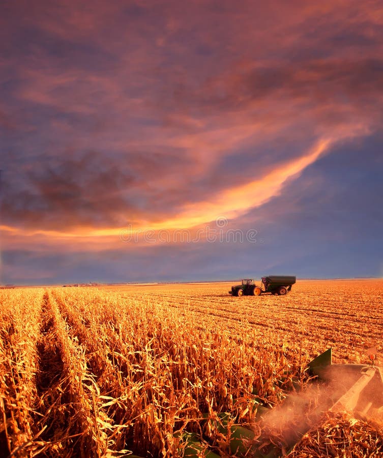 Farming at sunset stock image. Image of dakota, agriculture - 13279699