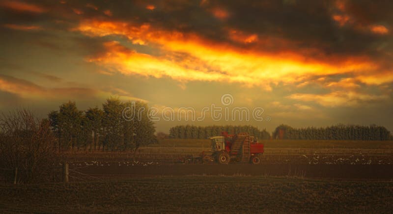 Farming at sunset stock image. Image of dakota, agriculture - 13279699