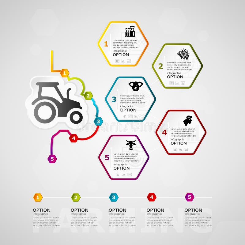 Farming Timeline Infographics Stock Vector - Illustration of five ...