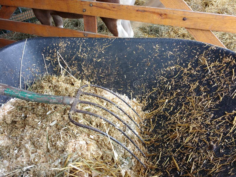 Farming Tools, Pitchfork in a Wheelbarrow of Hay Stock Photo - Image of ...