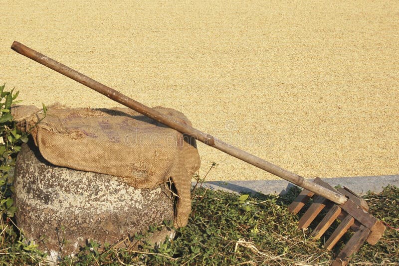 Old farming tools stock photo. Image of farming, ancient - 10975746