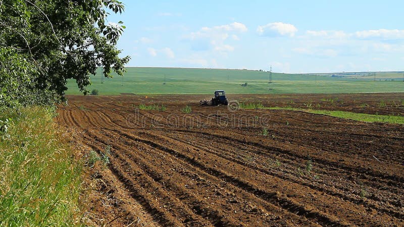 Farming. the Tractor Plows the Land. Stock Video - Video of farmer ...