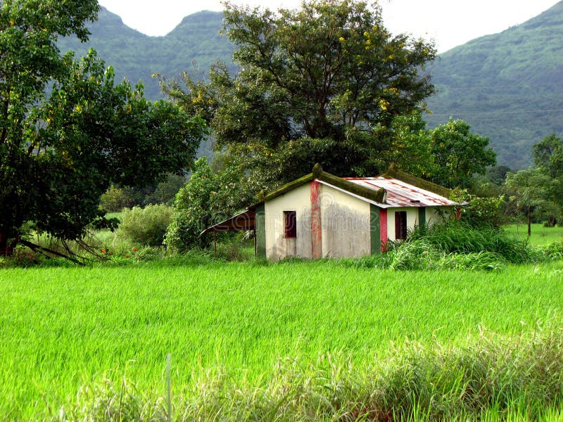 Traditional Farmhouse stock photo. Image of green, house - 2030684