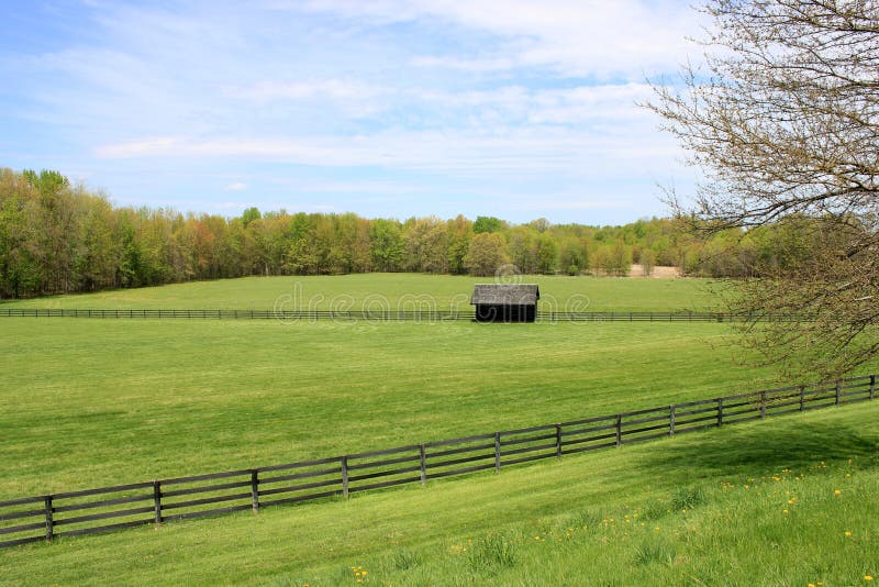 Farmland in America S Countryside Stock Image - Image of homestead ...