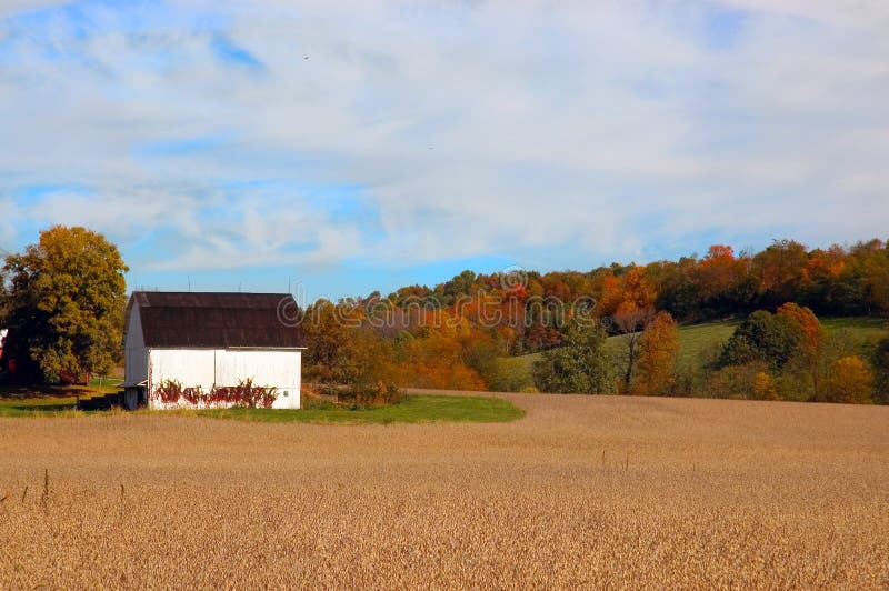 Farmland in Autumn stock photo. Image of white, county - 293624